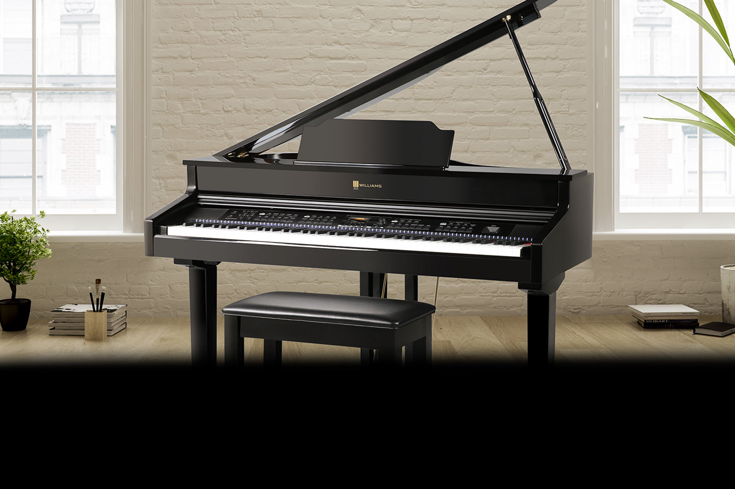 Williams | Guitar Center